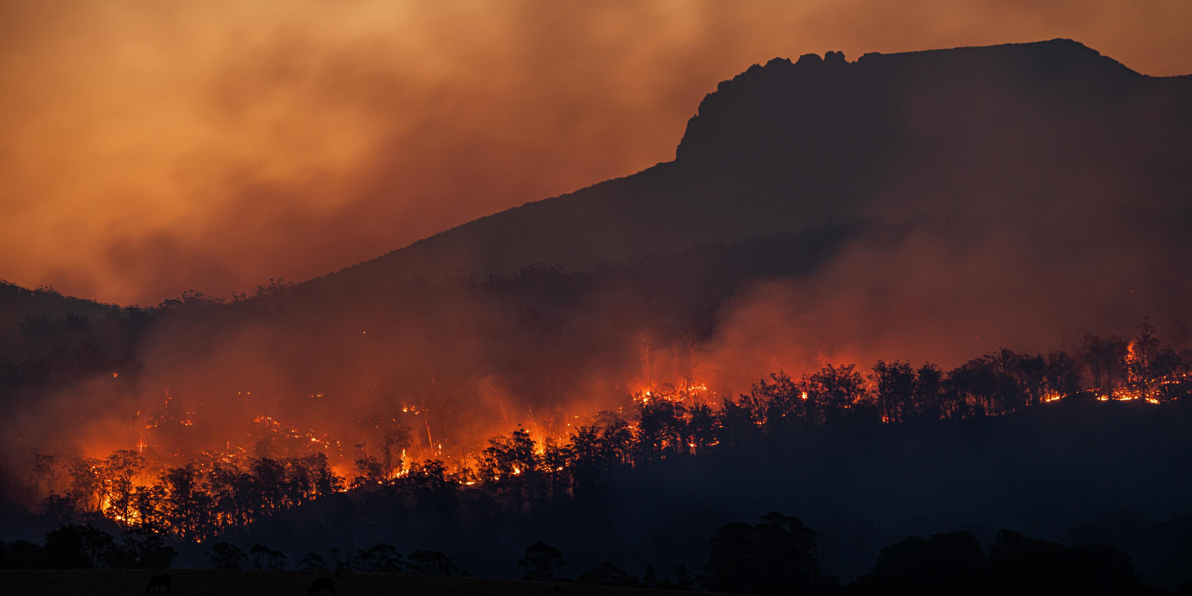 What Journalists Can Do Globally To Report On The Climate Crisis International Journalists what-journalists-can-do-globally-to-report-on-the-climate-crisis-international-journalists